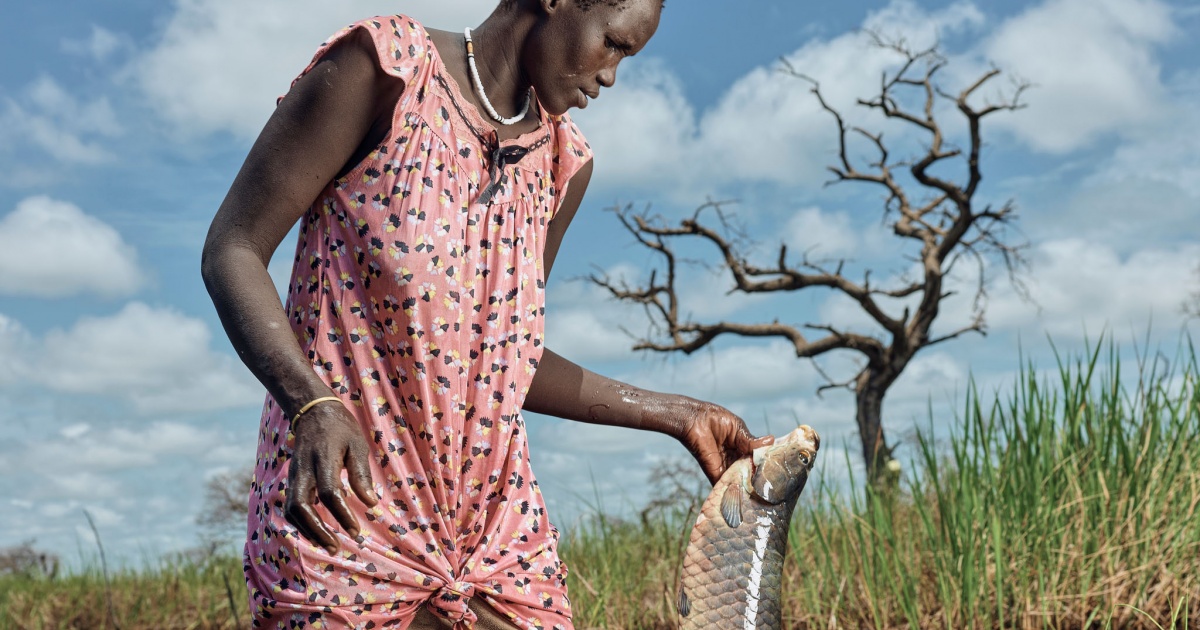 Hungry for a better future: political willingness can change climate ...